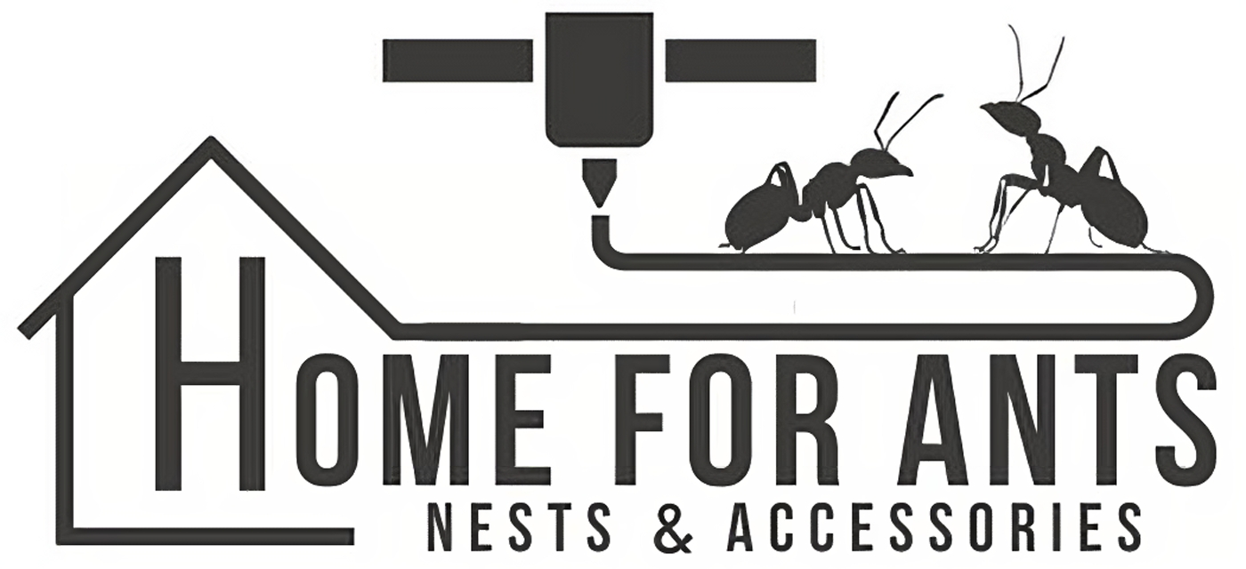 Startseite - Special Ants